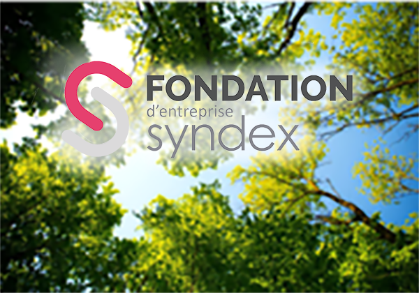 Appel à projets pour la Fondation d'Entreprise Syndex | Syndex